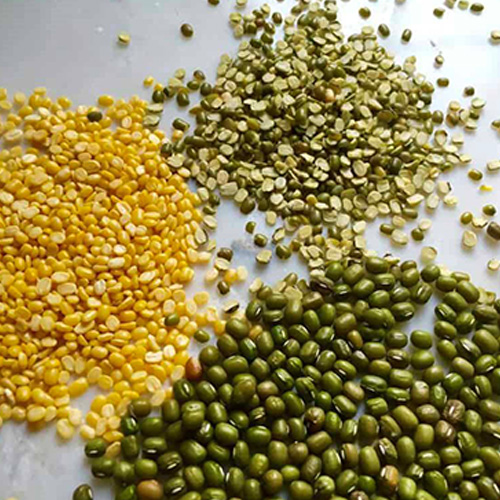 Pulses – Pacific commodities
