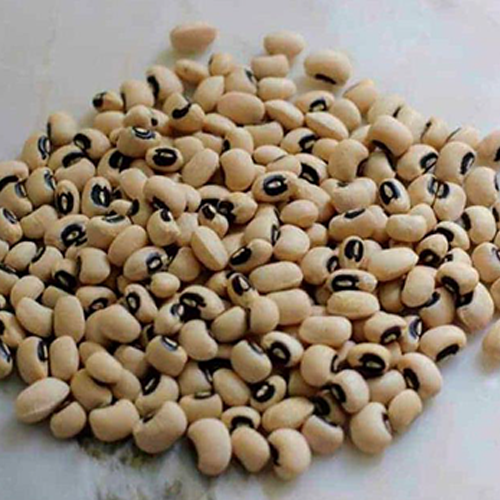 Pulses – Pacific commodities