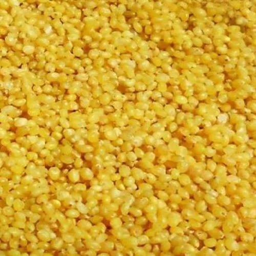 Millets of India – Pacific commodities